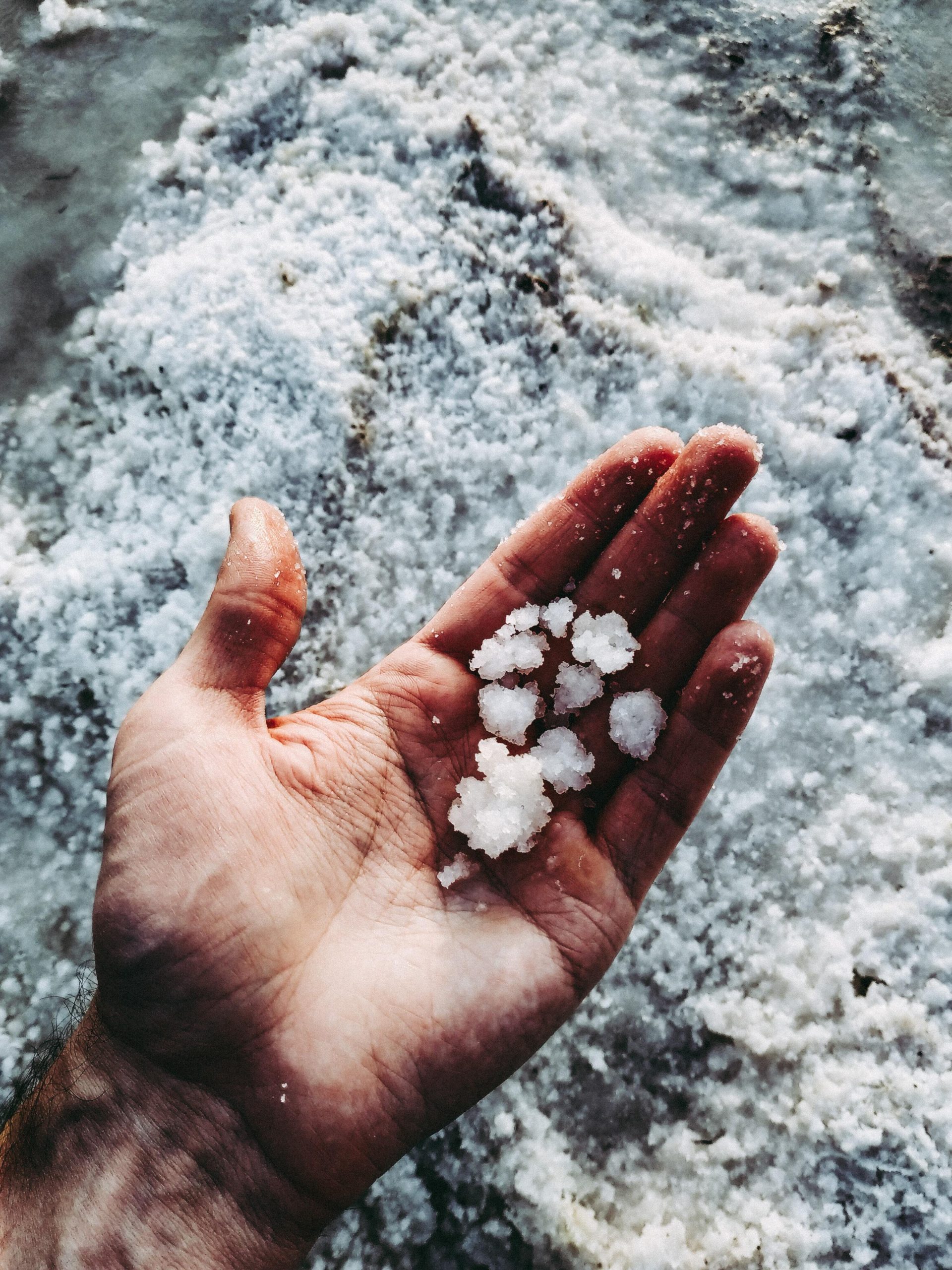 5 Surprising Uses for Gourmet Salt You Never Knew Existed | Salt'sUp Blog